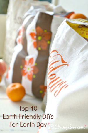 10 Earth Friendly DIYs for Earth Day - H2OBungalow