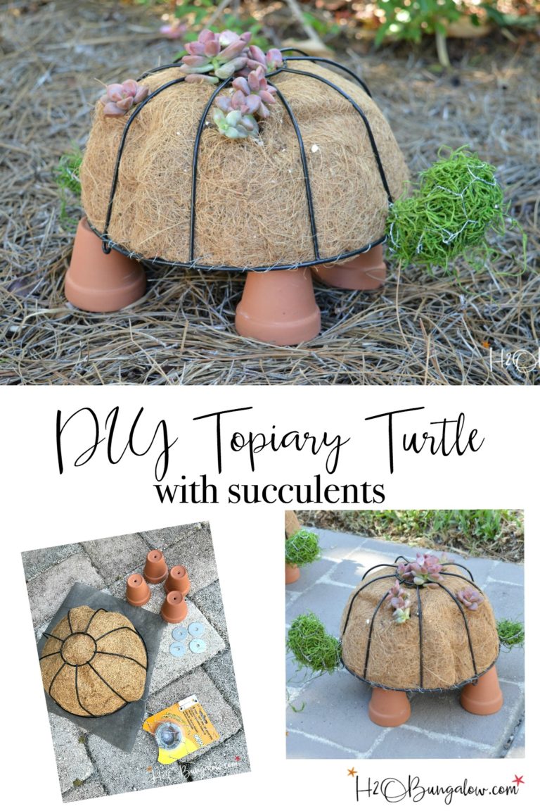How to Make a DIY Turtle Topiary - H2OBungalow