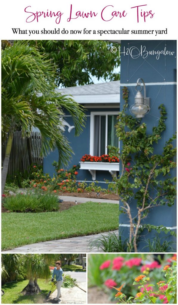 10 Spring Lawn Care Tips for a Beautiful Summer Yard - H2OBungalow