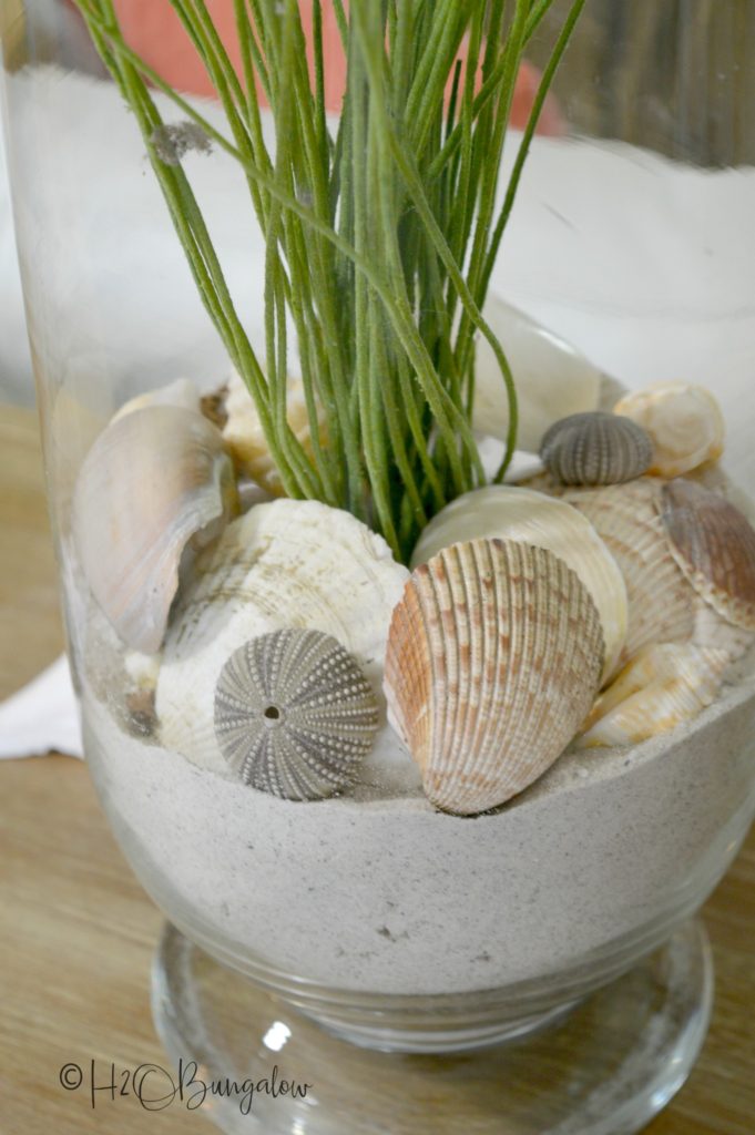 DIY Seashell Coastal Decor - H2OBungalow