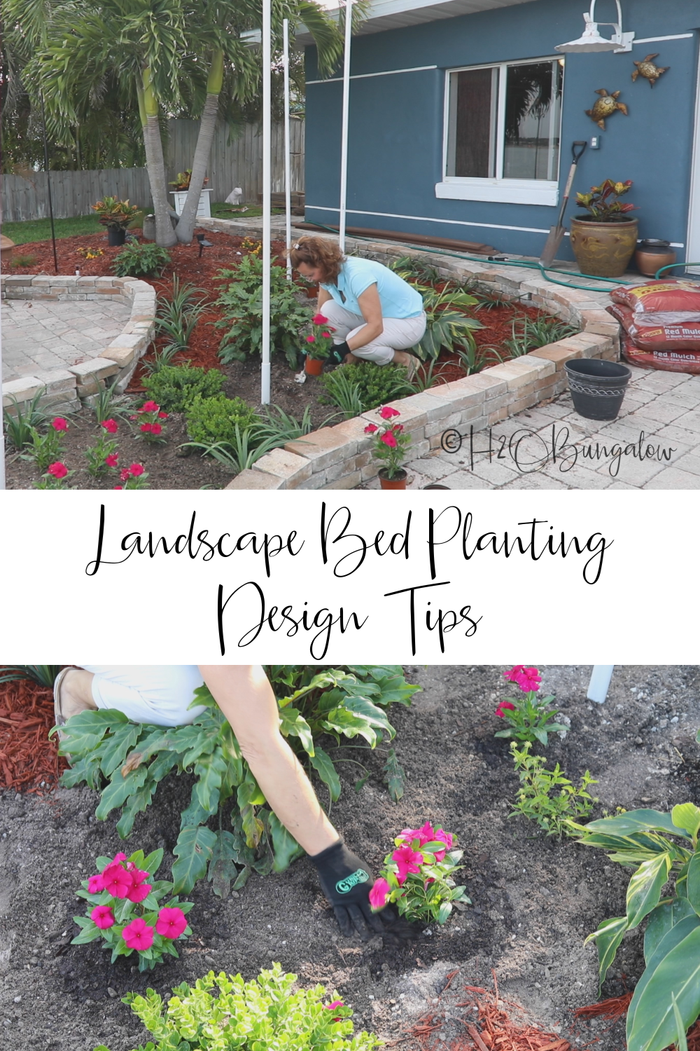 Backyard Makeover Week 3: Planting Landscaping Beds - H2OBungalow